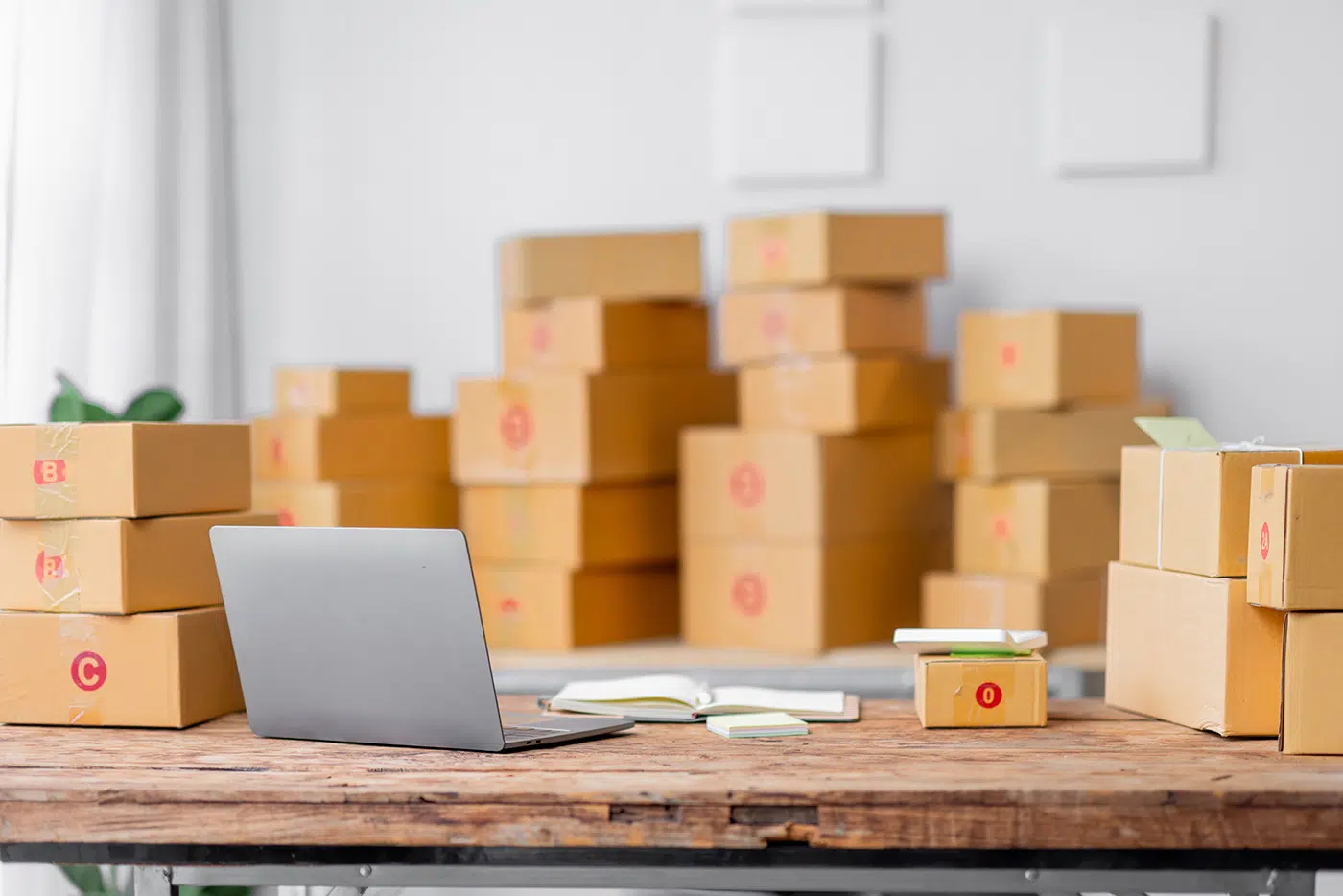 Alfândega: o que é, como funciona e para que serve? - Renova Invest